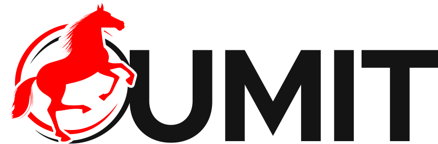 Management Studies – Umit